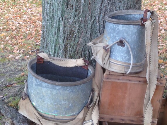 Apple picking buckets | Apple season, Apple picking, Apple