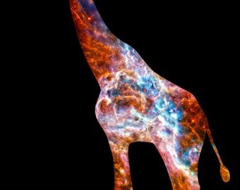 Giraffe in space | Etsy