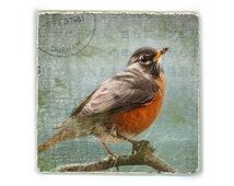 Popular items for spring robin on Etsy