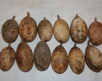 Popular items for egg gourd on Etsy