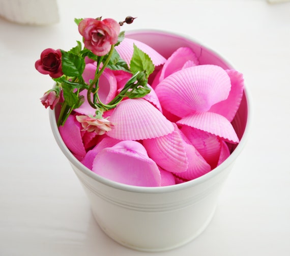 Items similar to Cockle Shells ~ Dyed Pink (approx 2.5 ounce bag) ~ Bag ...