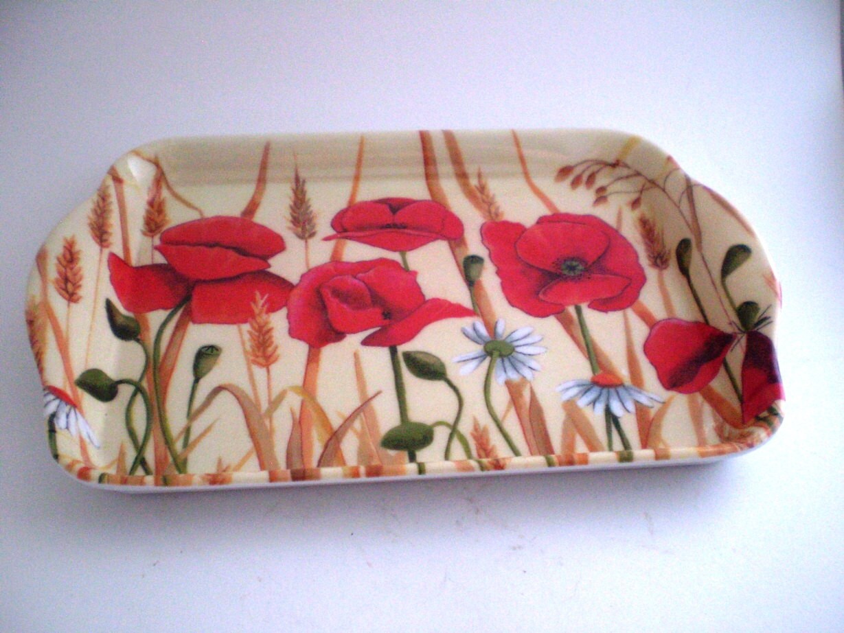 Bright Poppy Tray Plastic Display Tray Serving Tray – Haute Juice