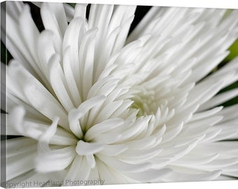 Neutral color flower | Etsy