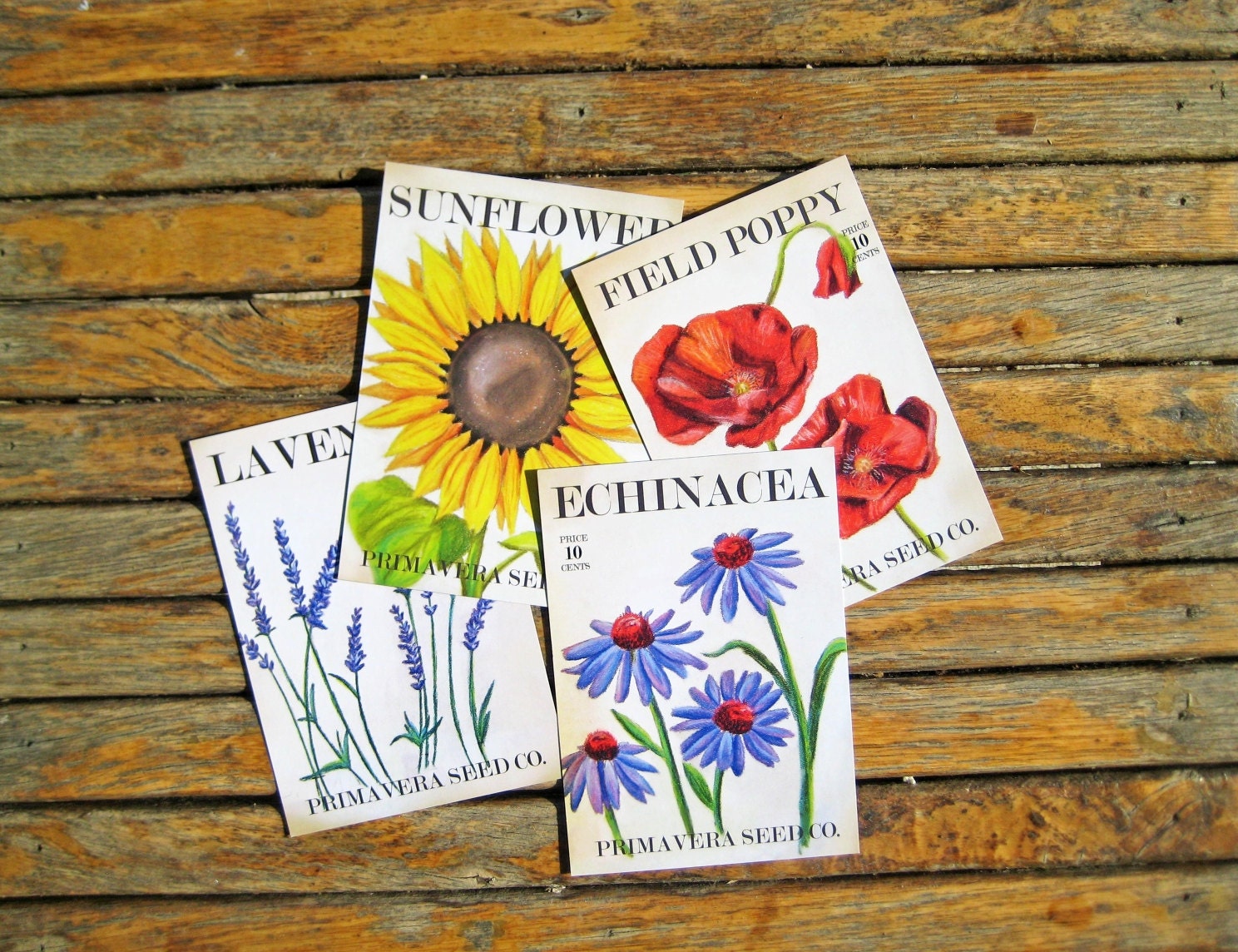 Flower Postcard Set Art Postcards Garden Postcards