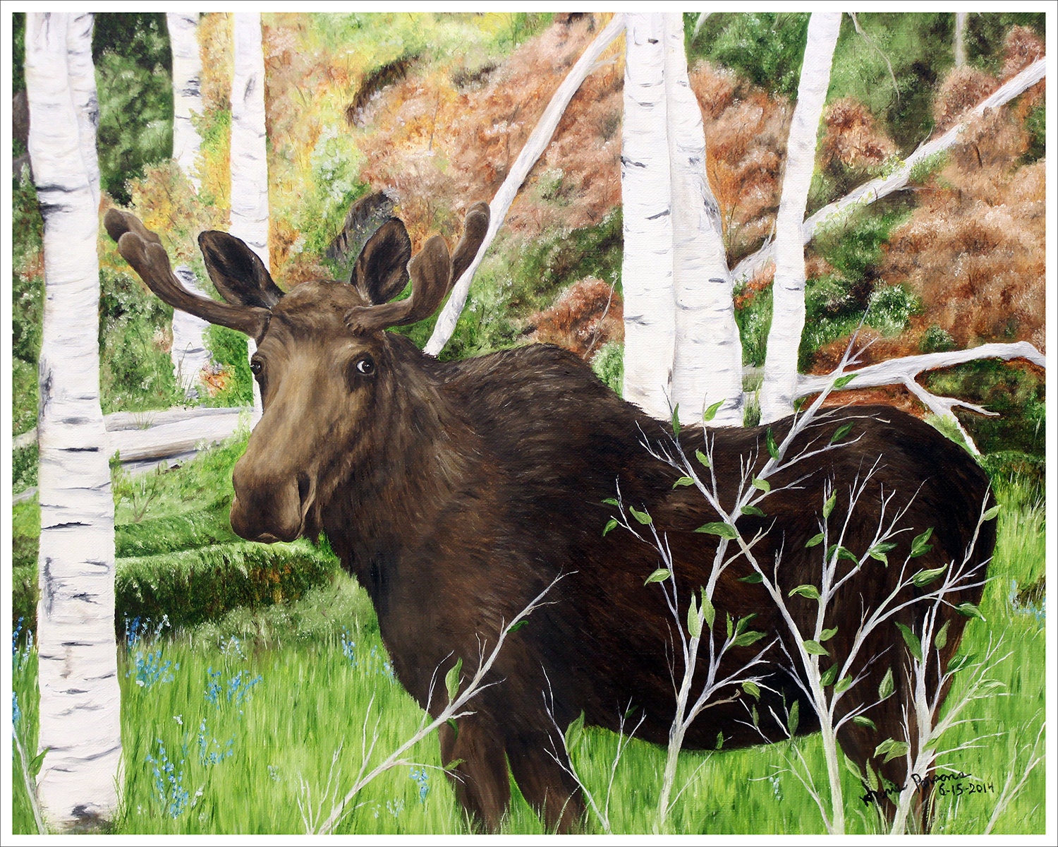 Moose wildlife Original Oil Painting 16in x 20in