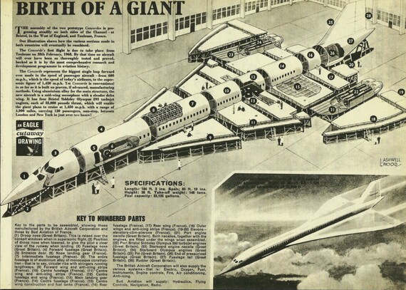 Concorde Print Cut Away Repurposed Aviation Airliner Jet