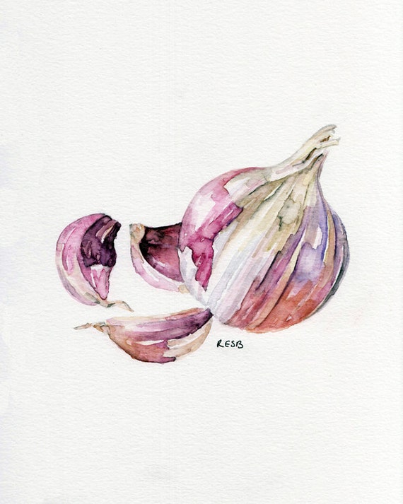 Garlic Painting Print from Original by TheColorfulCatStudio
