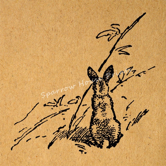 Antique Print Rabbit Artwork Bunny Wall Art Vintage Rabbit Print with ...