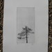 Tree Silhouette A drypoint etching of a tree