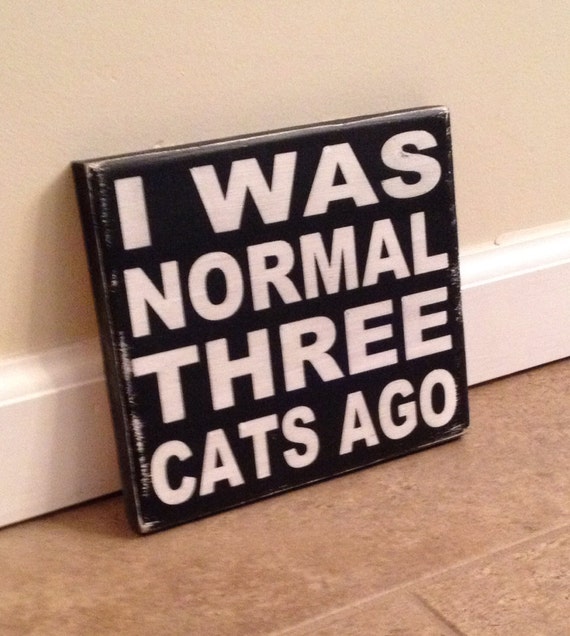 Crazy Cat Lady Sign wood wall art by MittenMadeDesigns on Etsy