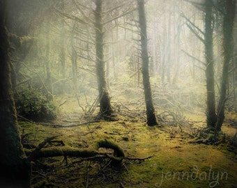 Oregon landscape | Etsy