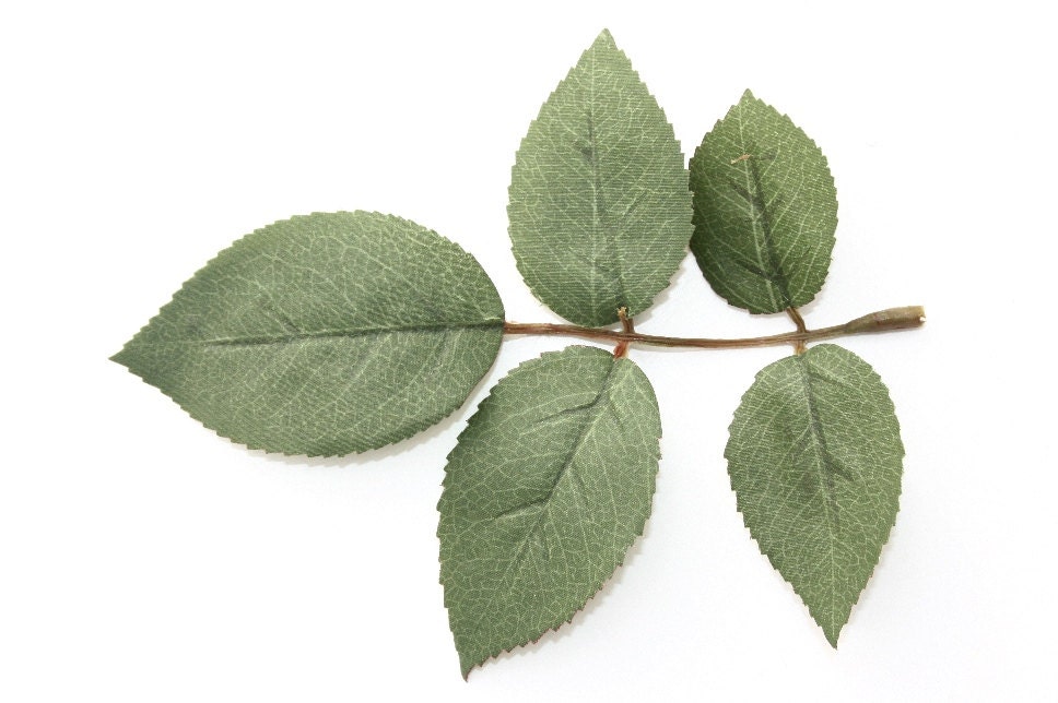 18 STEMS of Quality Rose Leaves artificial leaves by simplyserra