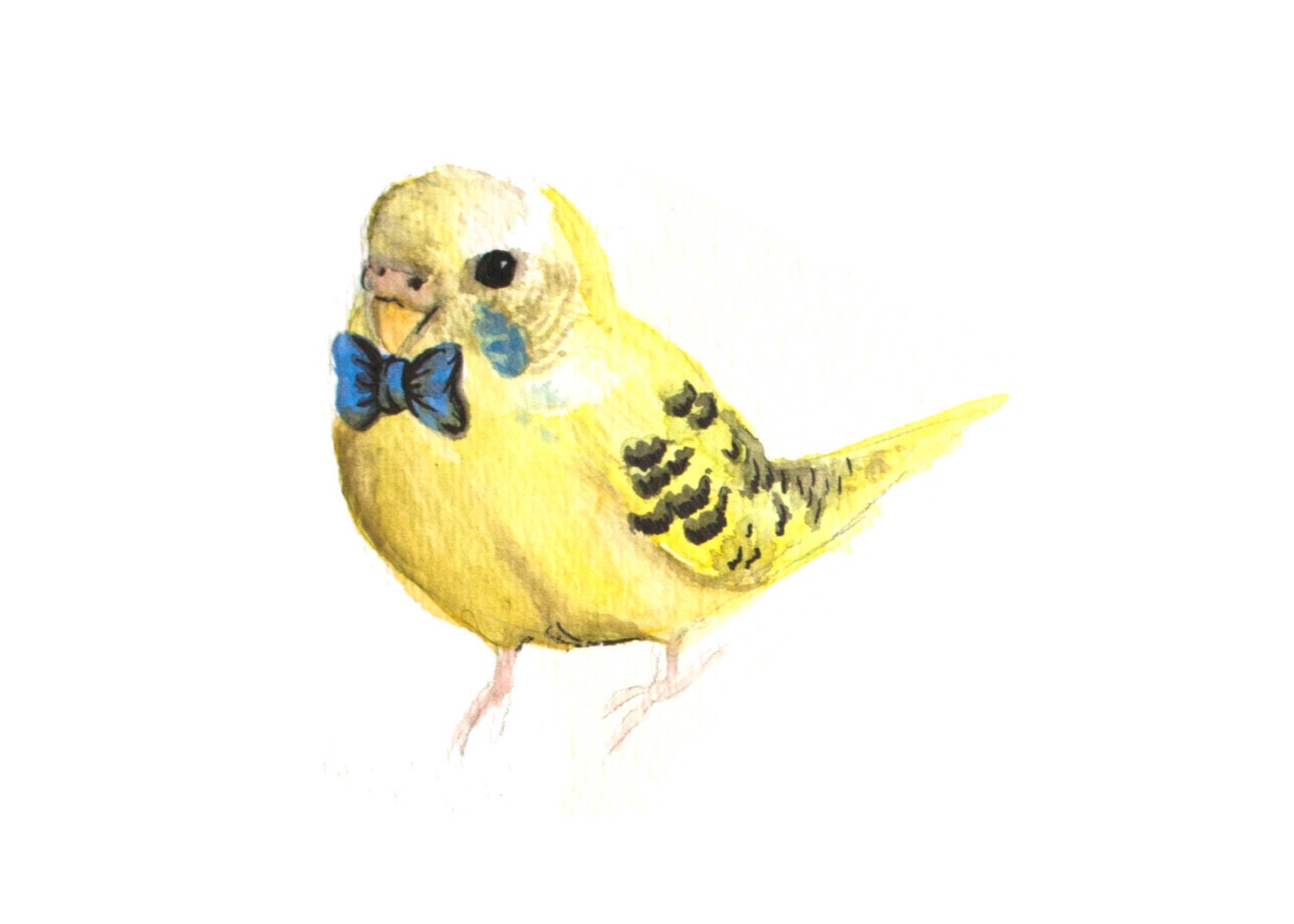 Dapper Yellow Parakeet with Blue Bow Tie – Watercolor and Pen and Ink ...