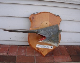 Unique spoonbill related items | Etsy