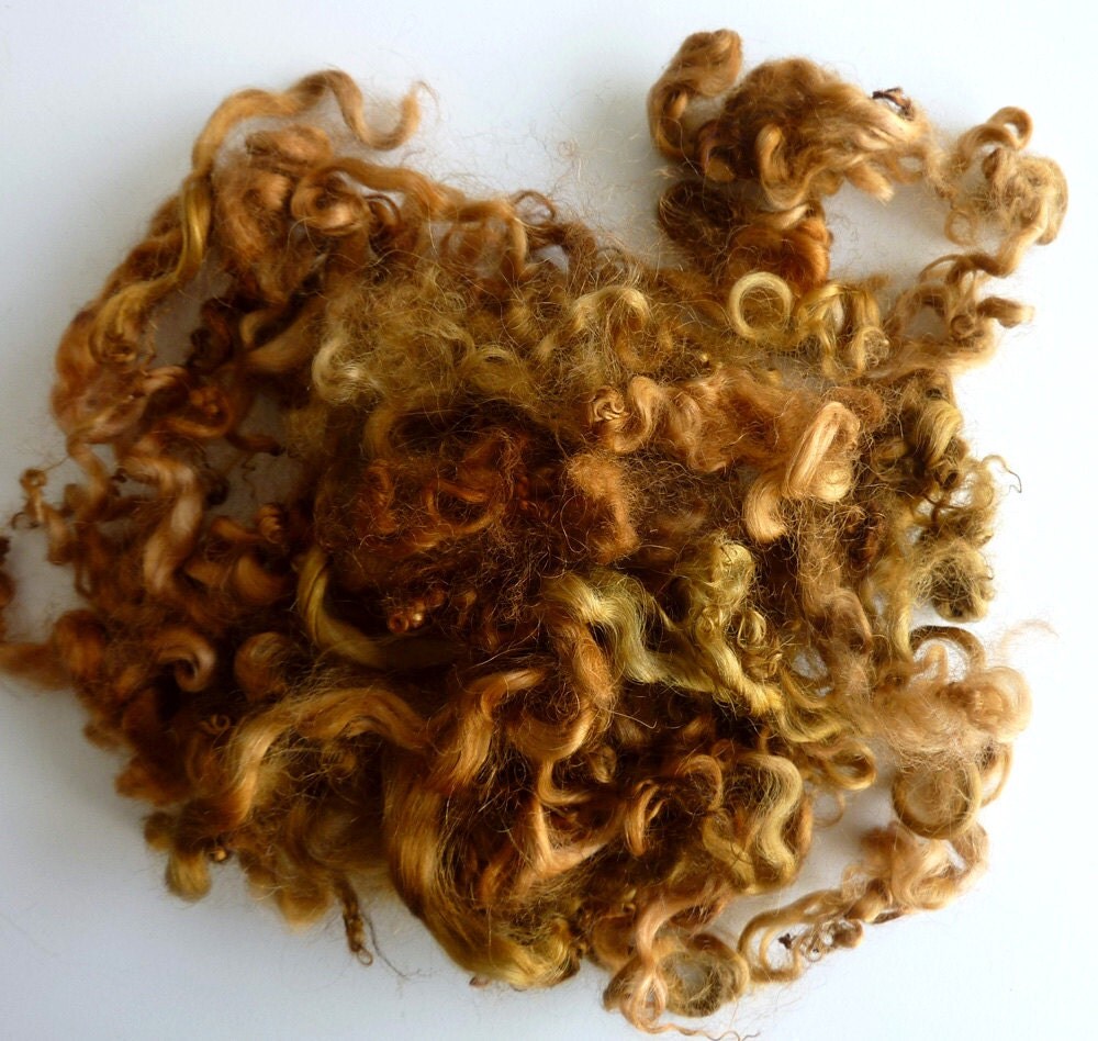Brown Curly Wool Hand Dyed Leicester Curls Felting
