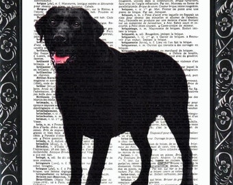 Black Labrador print on an vintage dictionary book page custom order ...