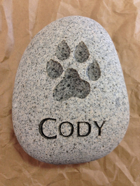 Dog paw prints on rocks - leatherress