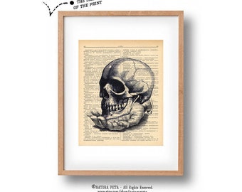 Popular items for skull dictionary art on Etsy