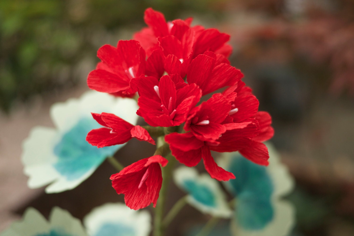 Paper Geranium Handmade Paper Flowers Geraniums available