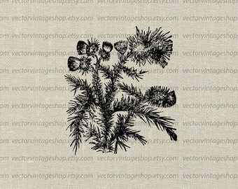 Spiky flowers | Etsy