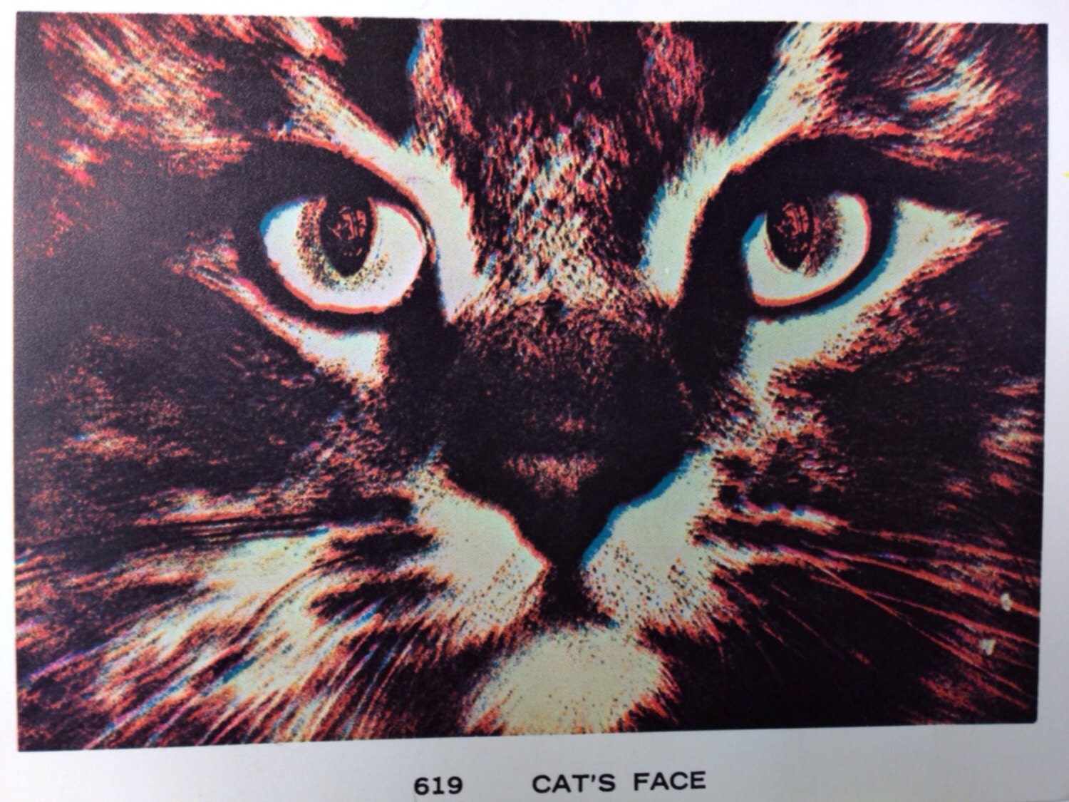 Cat's Face Blacklight Poster vintage 1970s mint