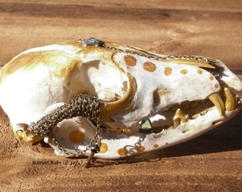 Real animal skull | Etsy