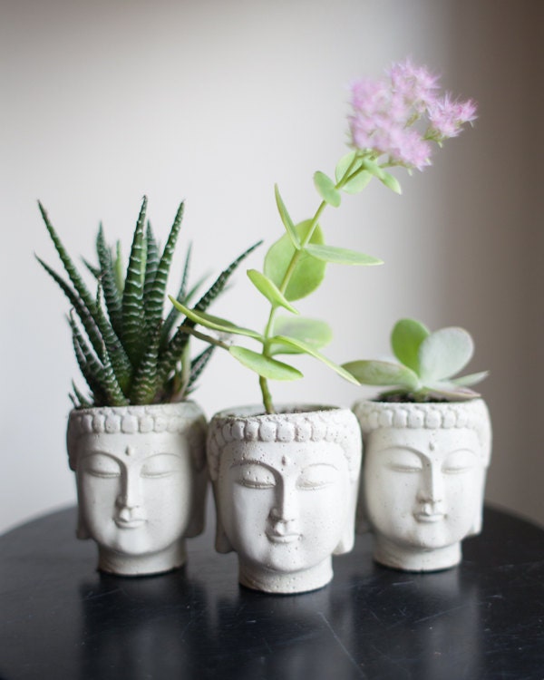 Small Buddha Head Planter – Buddha Head Planter #1 – Etsy finds