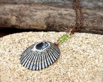 Opihi Shell Necklace - Hawaii Seashell Jewelry - Hawaiian Jewelry ...