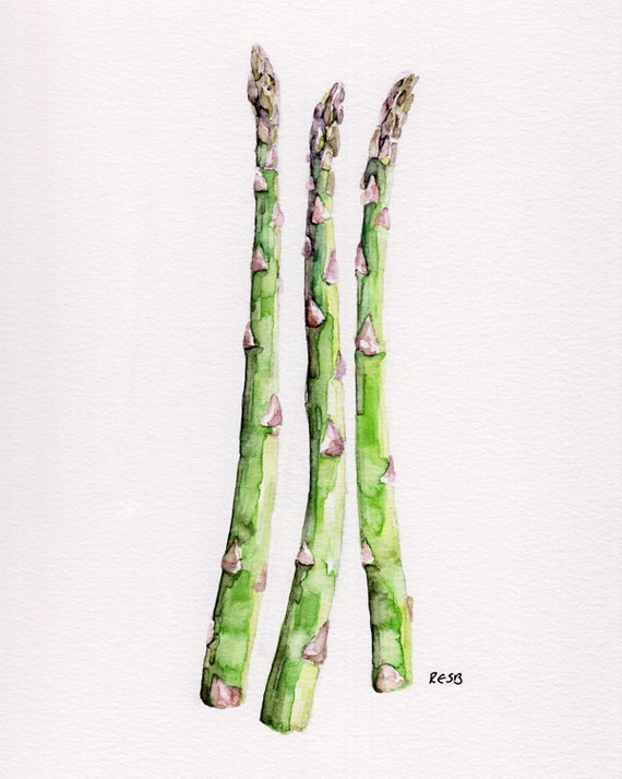 Items similar to Asparagus Painting - Print from Original Watercolor ...