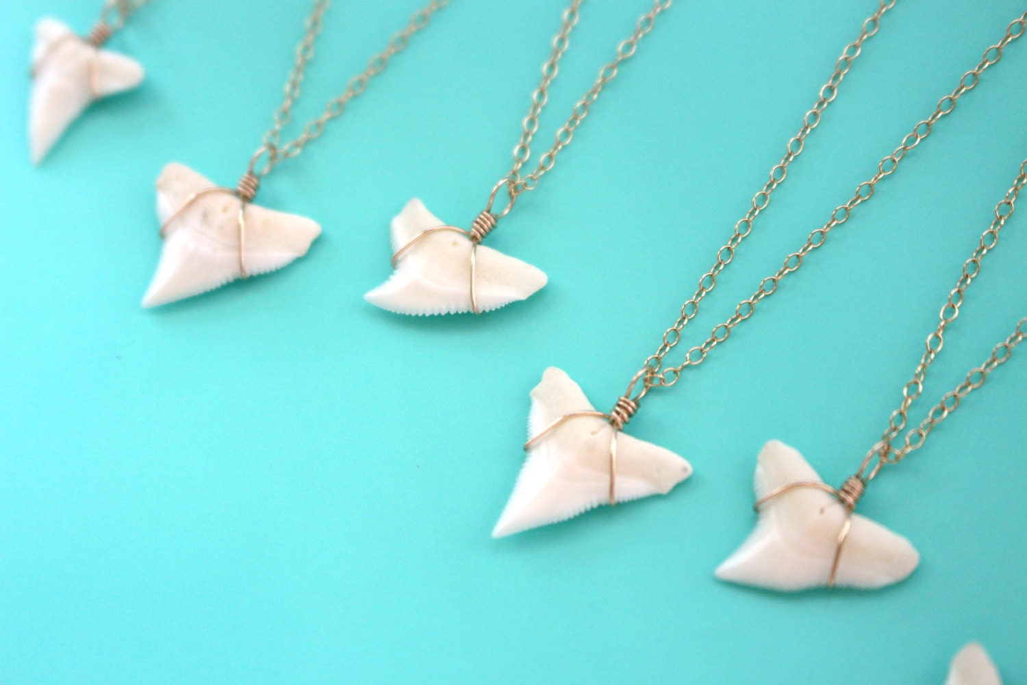 Genuine Shark Tooth Necklace Gold Shark Tooth Jewelry Real