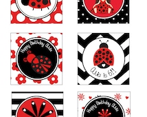 Popular items for ladybug picnic on Etsy