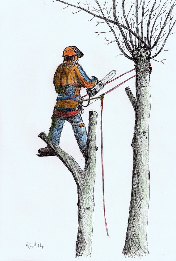 Items similar to A4 print Arborist ,Tree Surgeon using stihl 020T ...