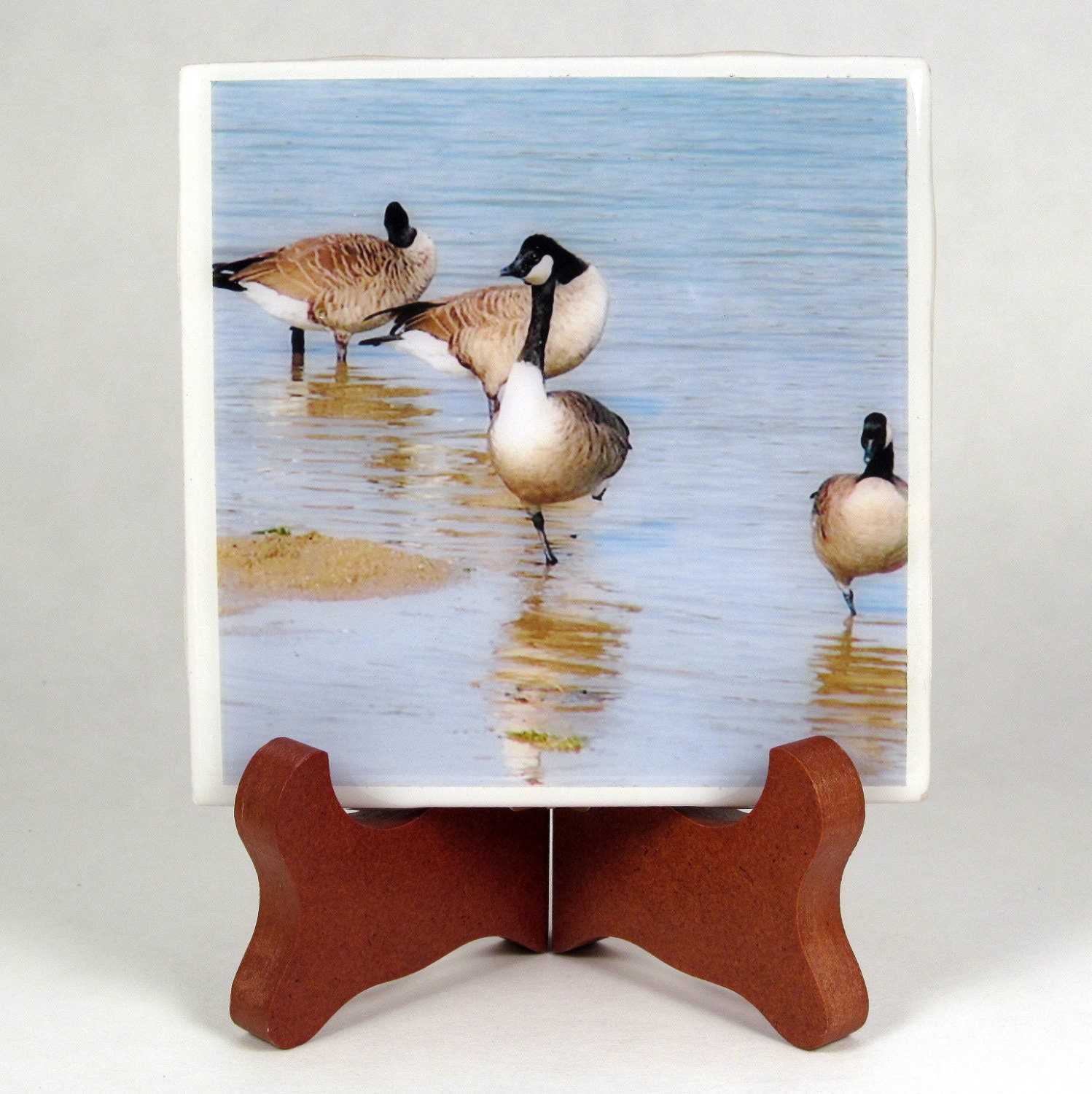 Handmade Photo Coaster Canadian Geese, FI32 | photographybyroger