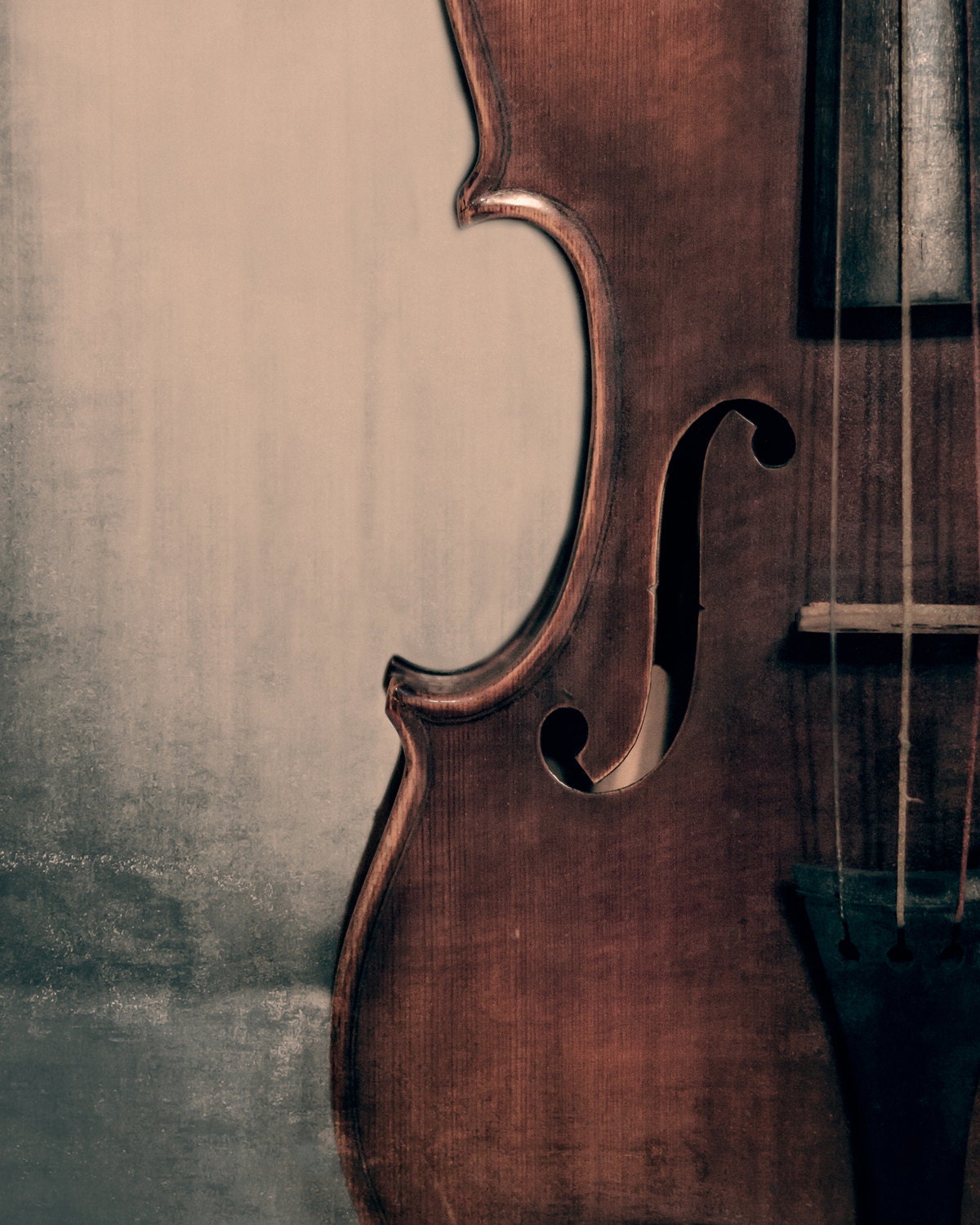 Vintage Violin Portrait Fine Art Photography Musical Vintage Violin Portrait Fine Art Photography Musical