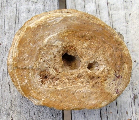 Native American Bow Drill Socket / Fire Starter Stone Woodland