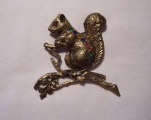 Popular items for squirrel brooch on Etsy