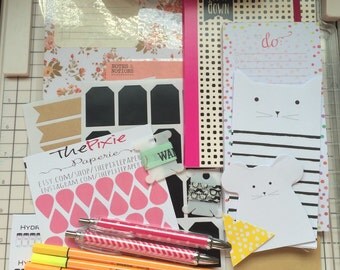 Cute Planner Kit! Great for New Planner Junkies