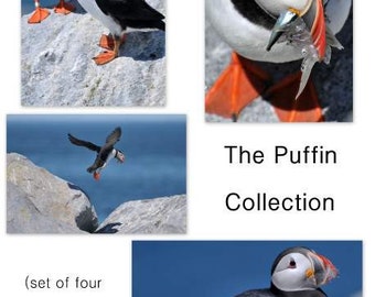 Atlantic puffin | Etsy