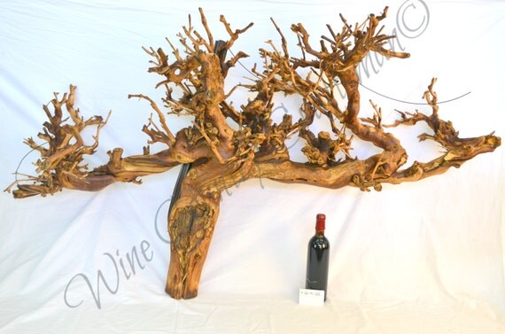 VINE ART Old Vine Grapevine art piece by winecountrycraftsman