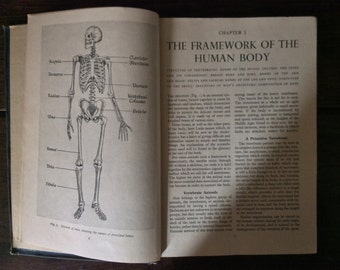 Human body book | Etsy