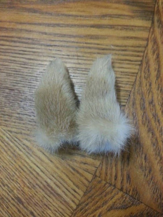 Dried Rabbit Feet Front Paws Tan by JAKRabbitry on Etsy