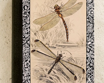 Unique dragonfly case related items | Etsy