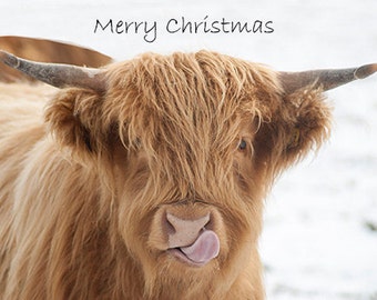Popular items for highland cattle on Etsy