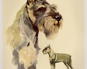 Schnauzer art | Etsy