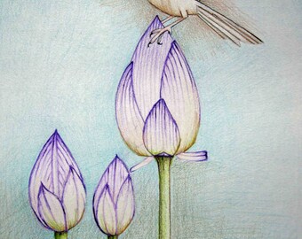 Pencil Artwork by Susan Truax by pencilartwork on Etsy