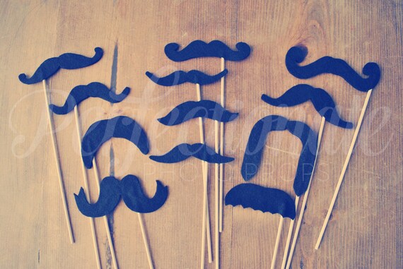 Felt Mustache Photo Props Set of 12 Mustache Props