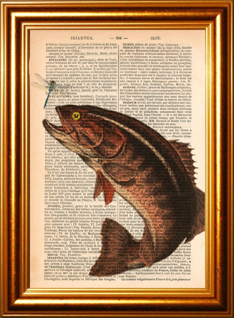 Bass Fish Fishing Bass with fly print on repurposed Vintage