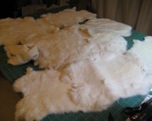 Popular items for white rabbit on Etsy