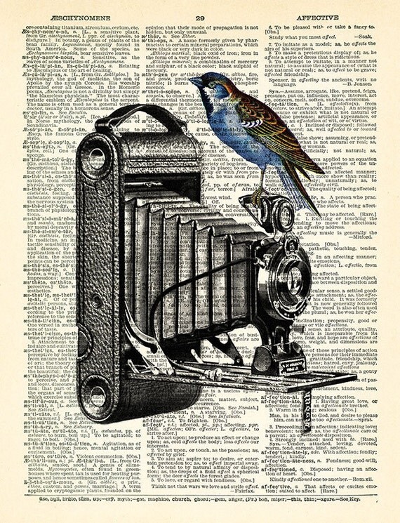 Bird Antique Camera Art Print Vintage by PrintsVariete on Etsy
