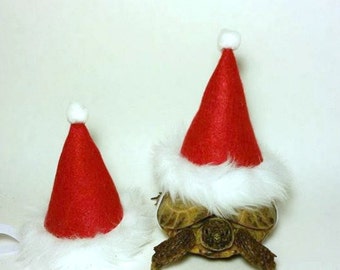 Popular items for tortoise costume on Etsy